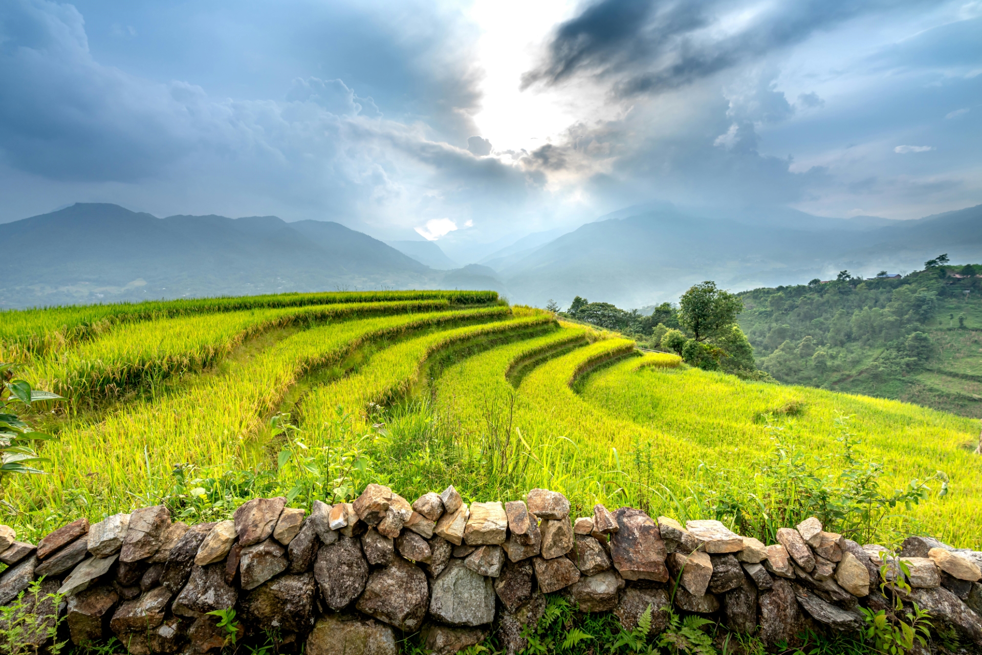 LIVING HIMALAYAS – Equal. Ethical. Ecological